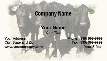 Cattle Business Cards