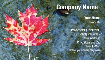 Business Card Designs by Gerry Fagan