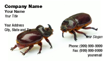 Business Card Designs by Sinisa Botas