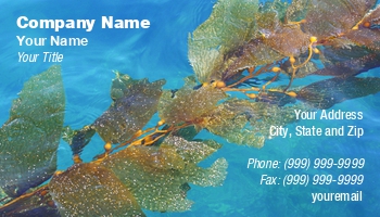 Environmental Business Cards