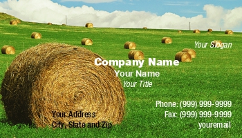 Best Buy Business Cards